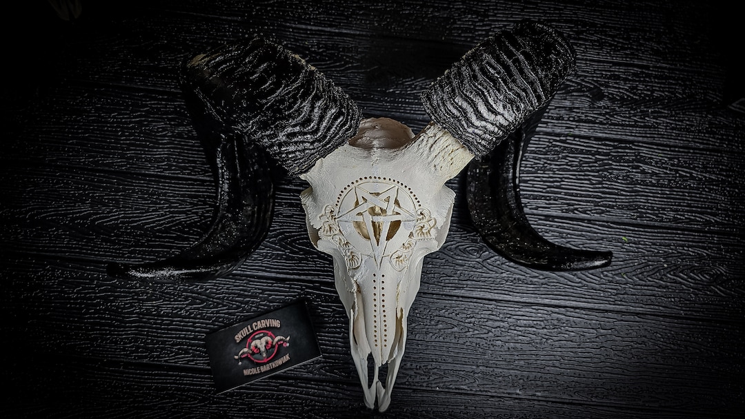 Real Ram Skull. Engraved Pentacle / Pentagram Evil Design Gift Idea ...