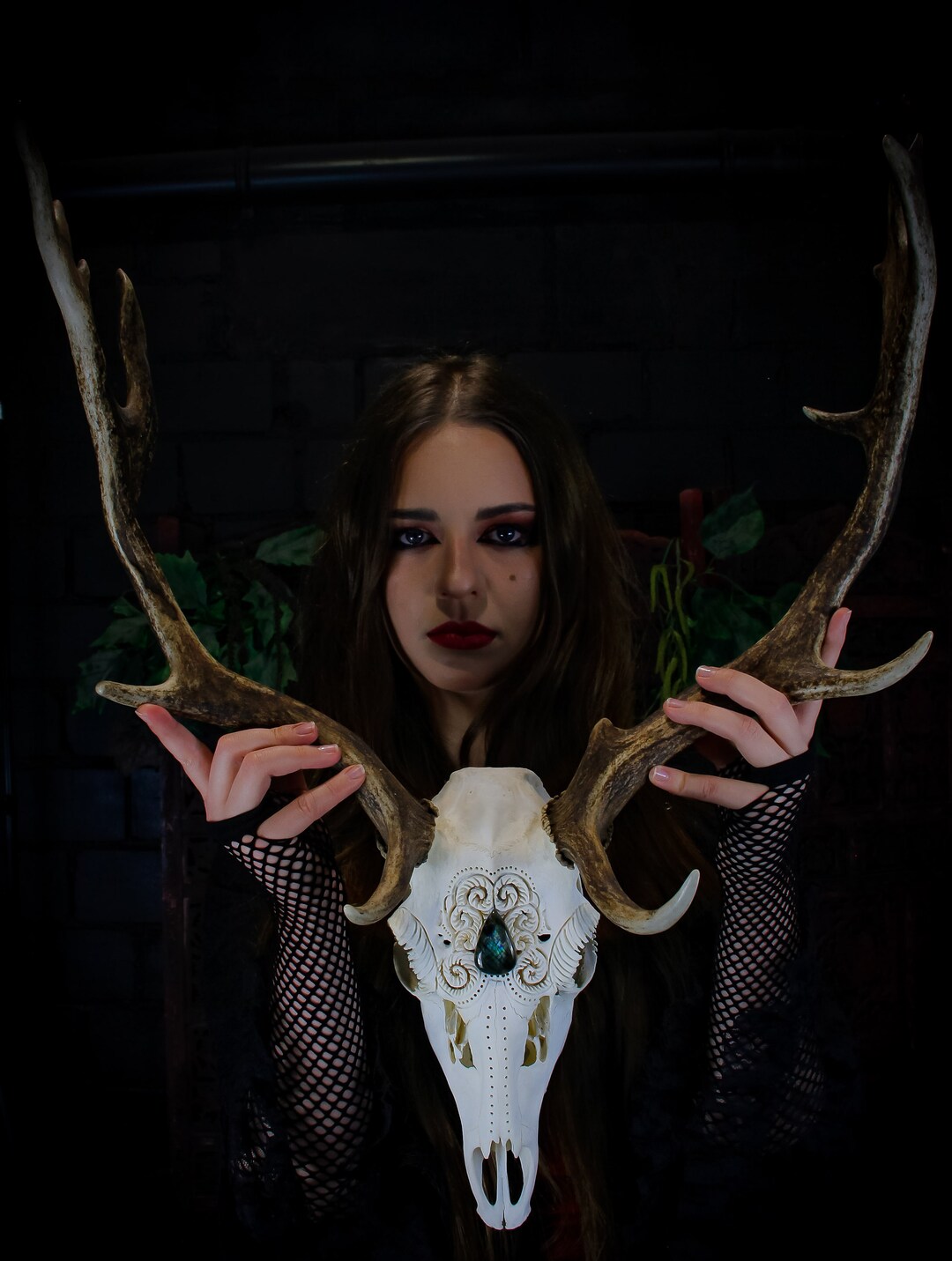 Engraved Fallow Deer Skull Sculpture: Labradorite Stone, Floral ...