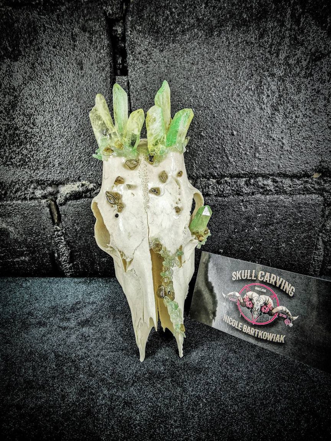 Real Roe Deer Skull With Green Quartz Labradorite Aventurine Crystals ...