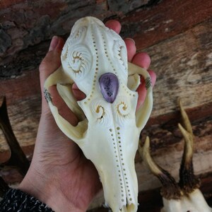 Real Fox Skull Engraved Design Filigree Ornaments Labradorite Amethyst ...