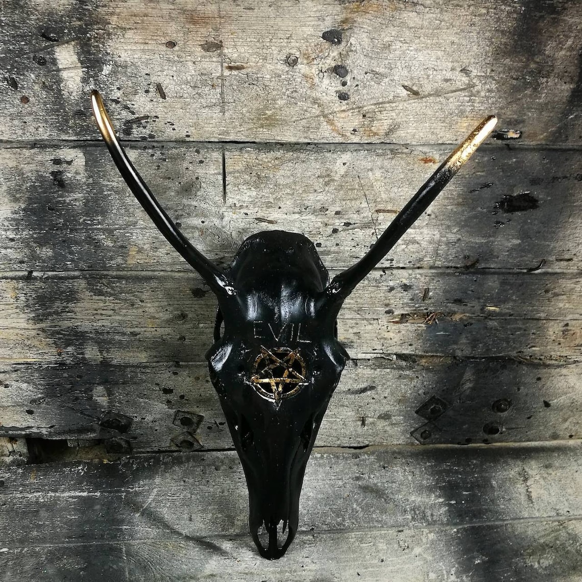 Made to Order Huge Deer Skull With Engraved Design Pentagram - Etsy