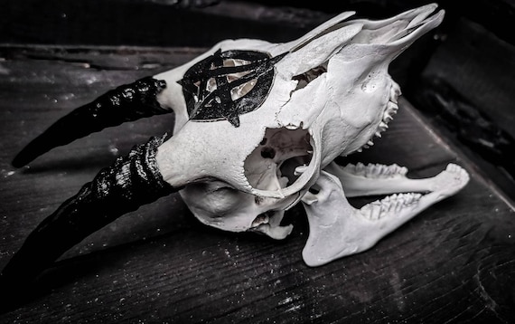 Evil Goat Skull