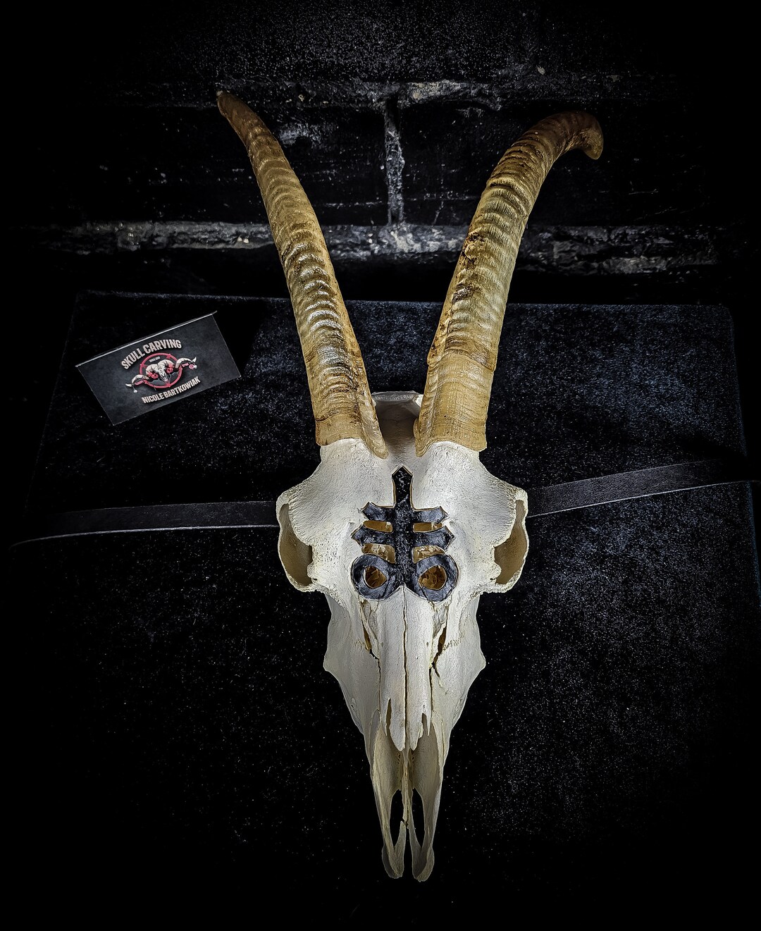 Real Goat Skull With Engraved Leviathan Cross- With or Without Jaw. Can ...