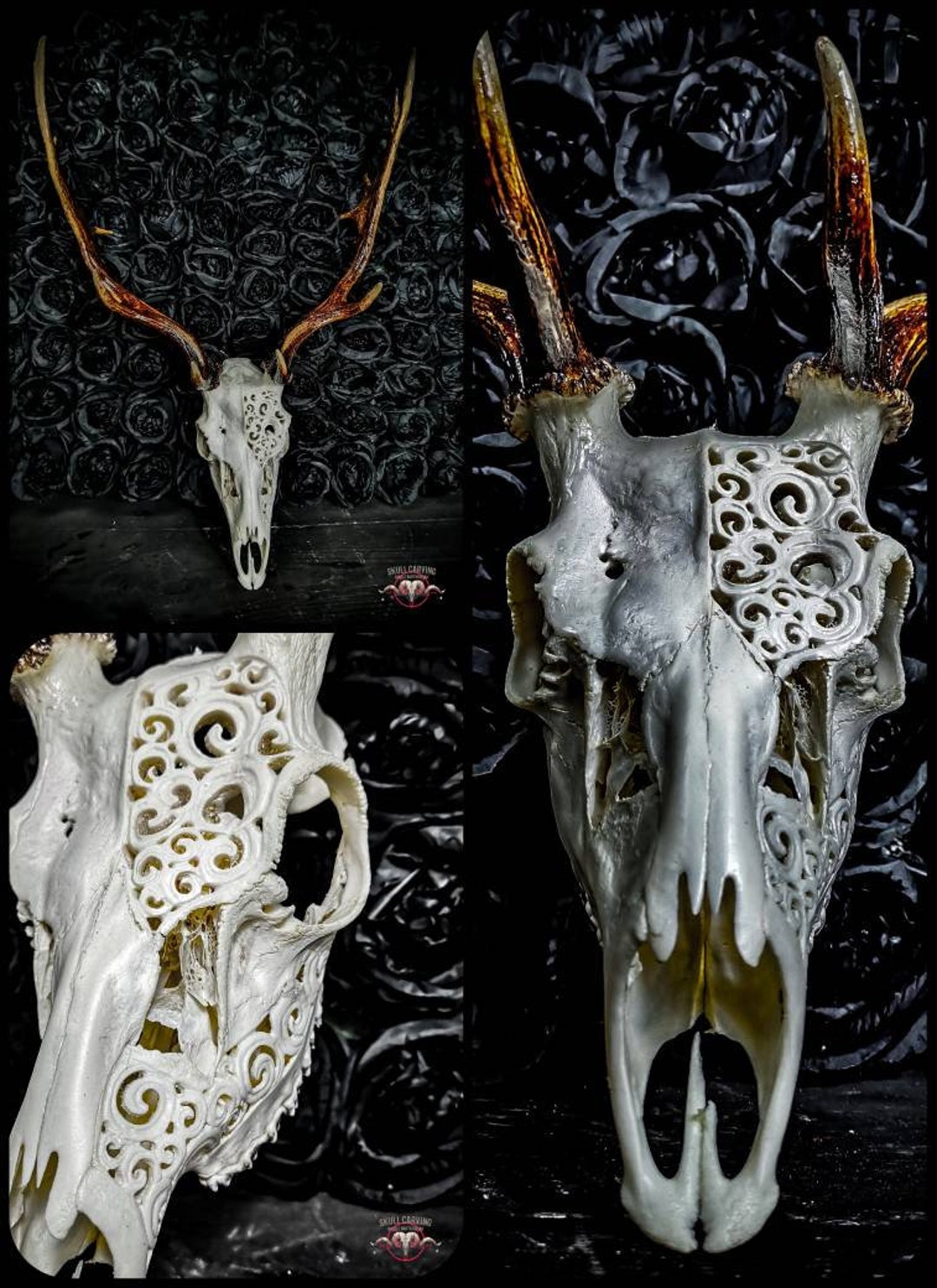Made to Order Real Fallow Deer Skull With Engraved Design Sculpture ...