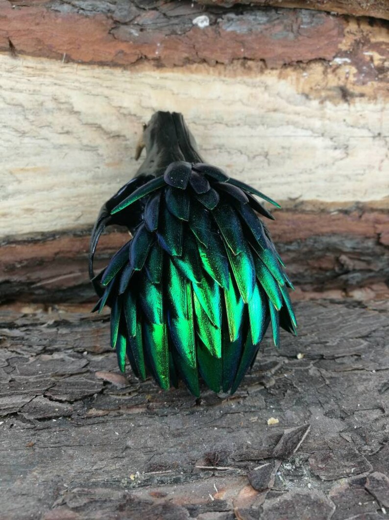 Dragon Real Fox Skull Elytra Wings Golden Teeth Painted Violet - Etsy