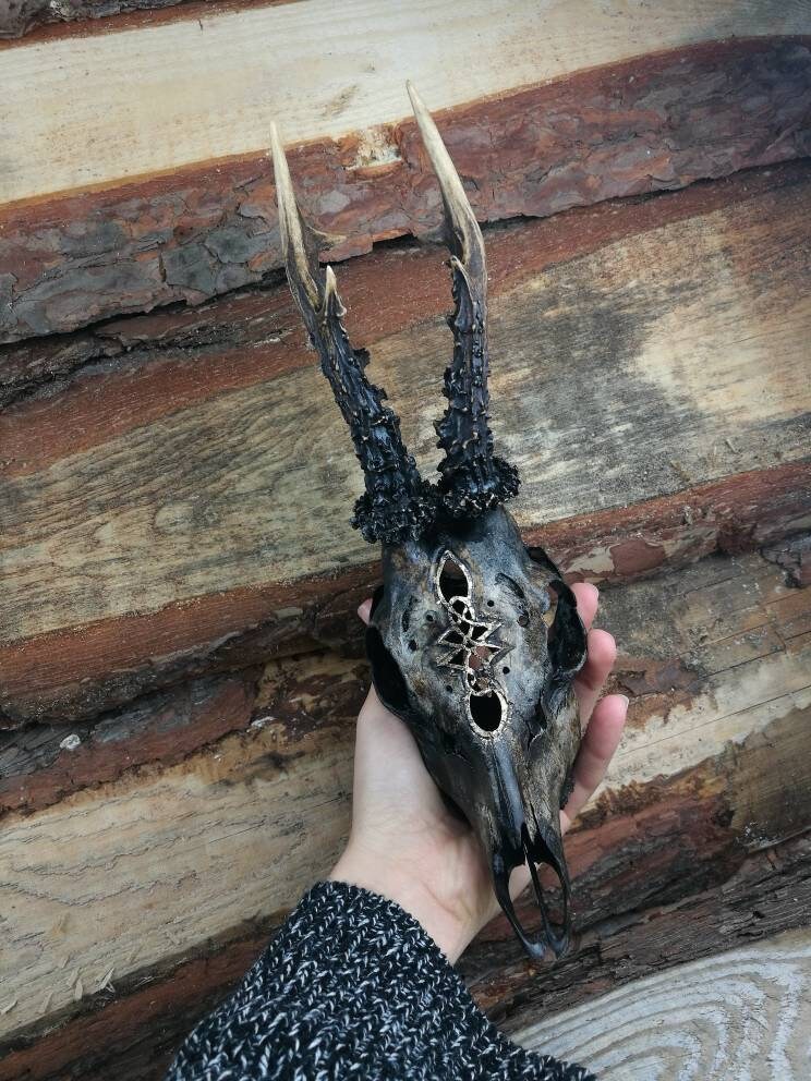 MADE TO ORDER real Roe deer skull with engraved design painted | Etsy