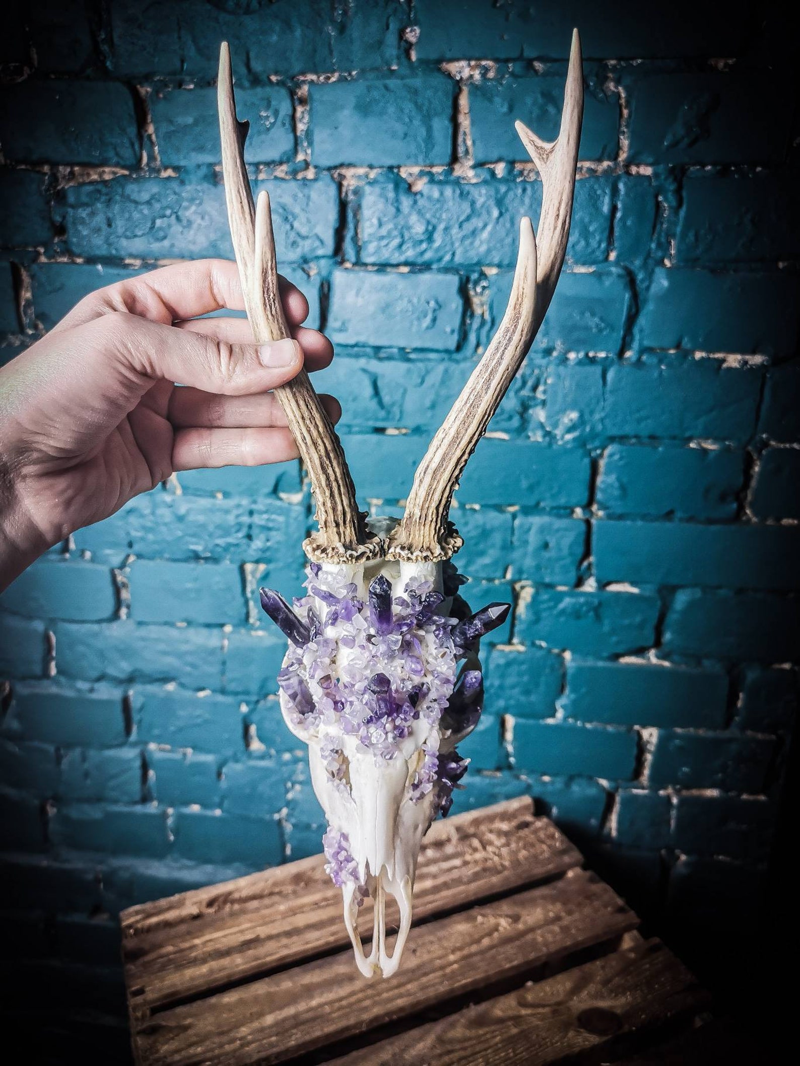 Amethyst Crystal Roe Deer Skull: Wicca Witch Altar Decor - Etsy