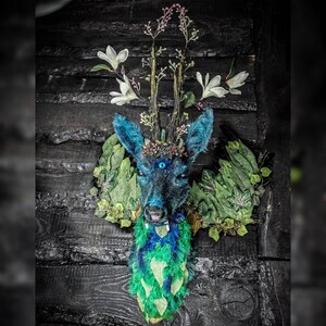 Made to Order Custom "eden" Beautiful Turquoise Roe Deer Taxidermy ...