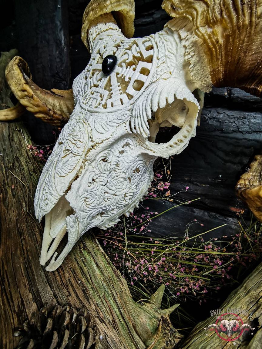 Hand Carved Ram Skull: Pagan Vegvisir, Filigree Ornament - Etsy