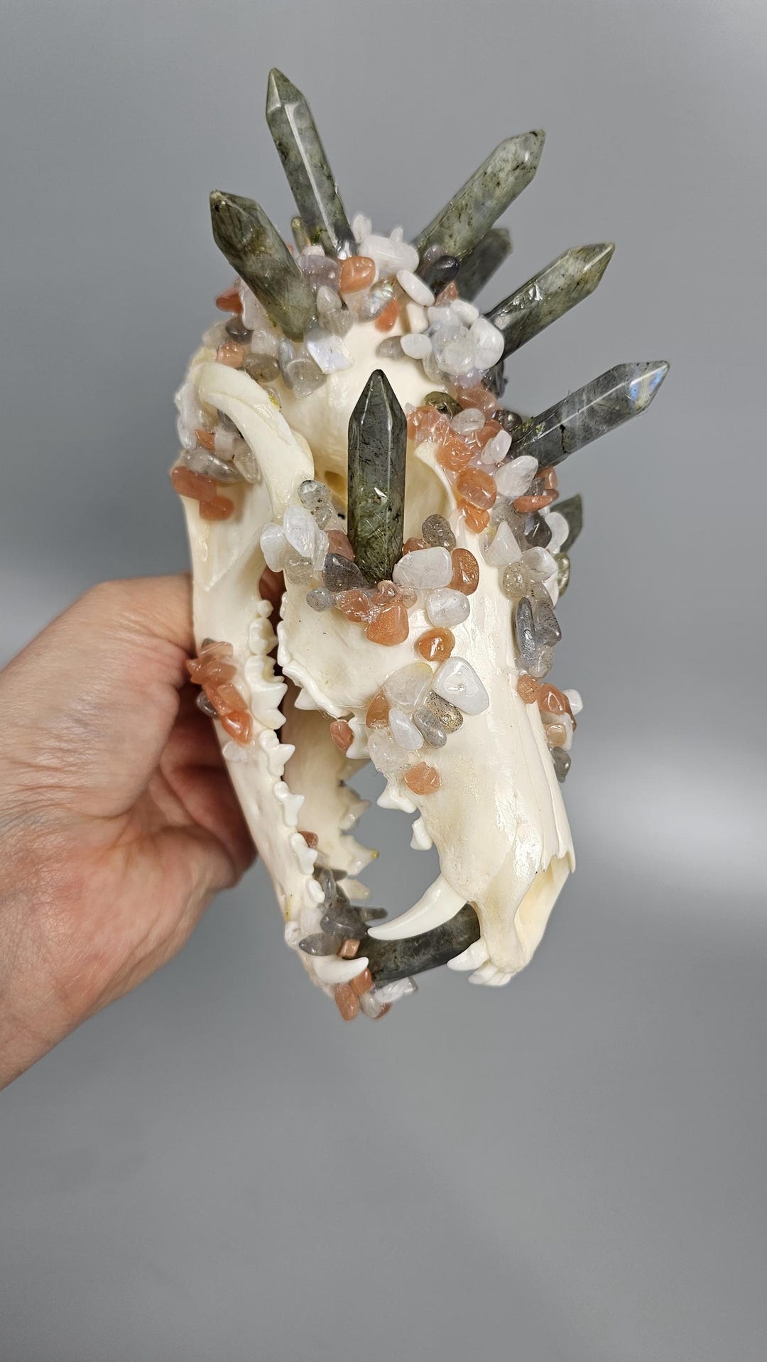 MADE TO ORDER Real Fox Skull With Moonstone Sunstone and Labradorite - Etsy