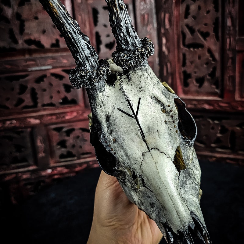 Pagan Deer Skull Wall - Etsy