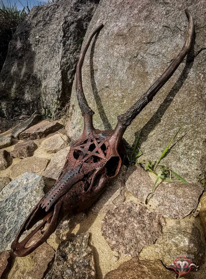 Engraved Deer Skull Wall Decor, Pentagram, Rust Finish, Made to Order ...