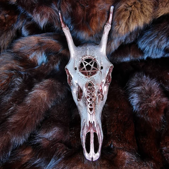 Disegno Di Corna Di Teschio Di Cervo