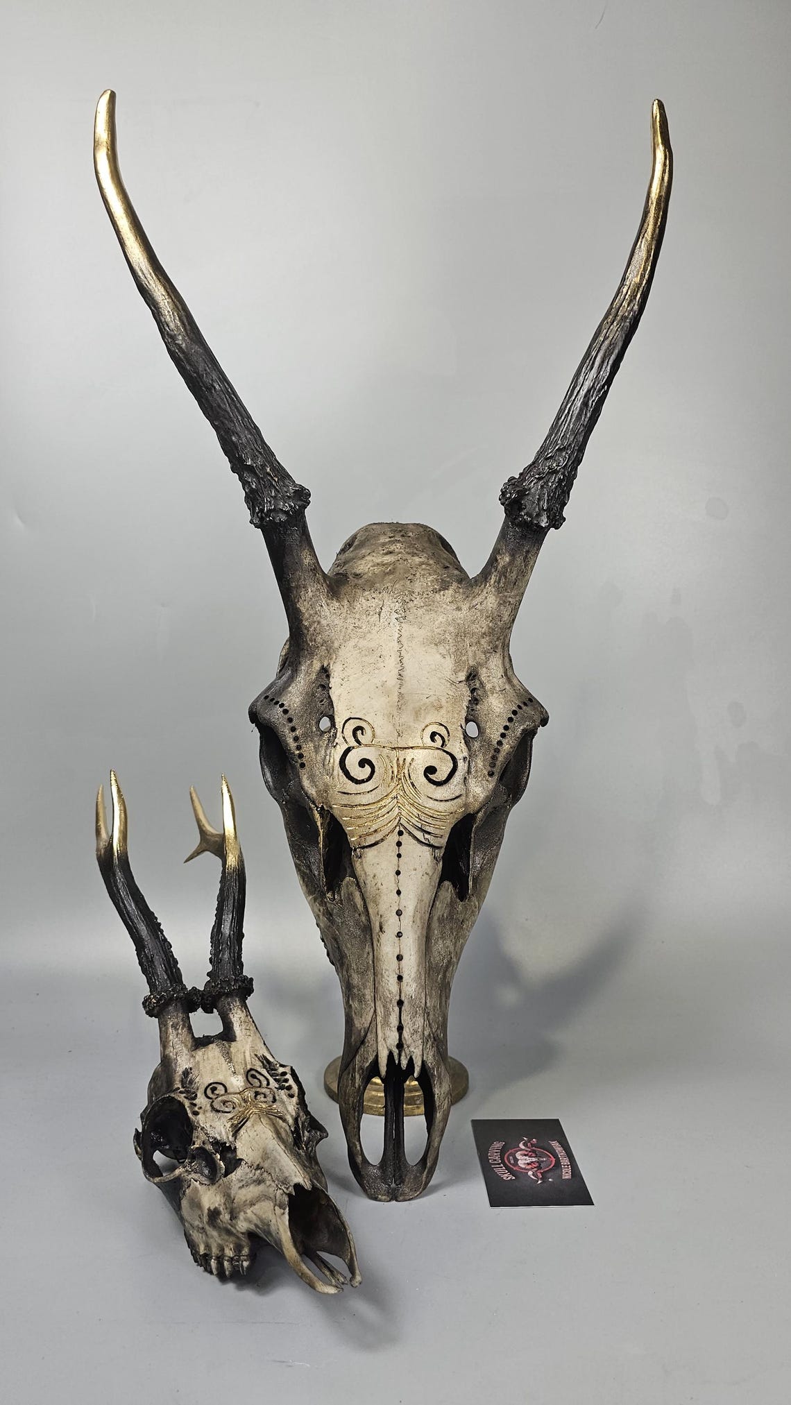 Carved Deer Skull With Short Antlers: European Mount, Stone Inlay - Etsy