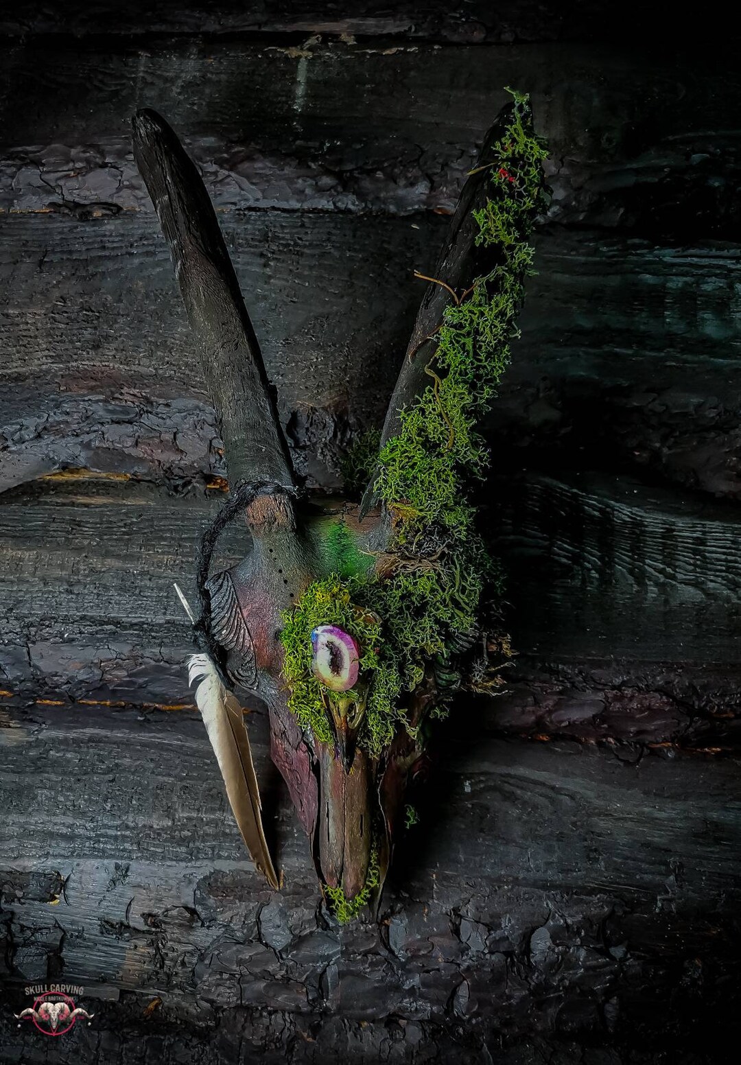 Made to Order - Real Goat Bird Skull Antlers, Decoration With Moss ...