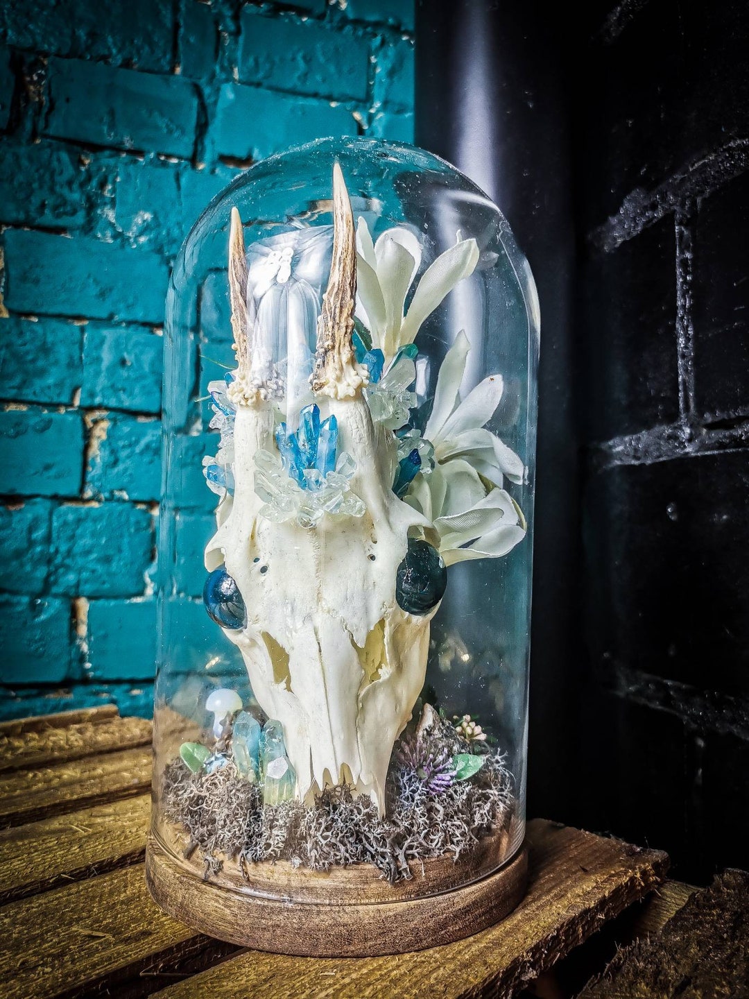 Real Roe Deer Skull With Blue Quartz Aura Crystals Stones Unrepeatable ...