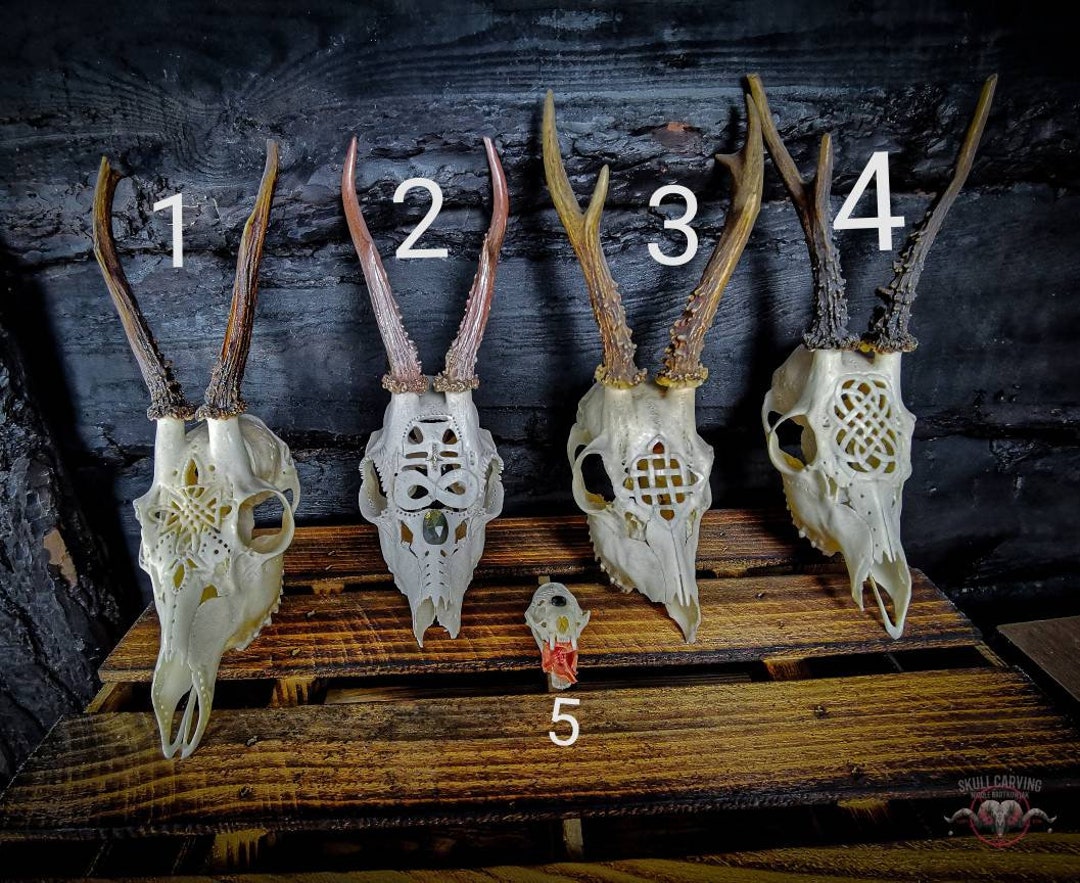 Real Roe Deer Skull With Engraved Design Carving Gift Idea Sculpture ...