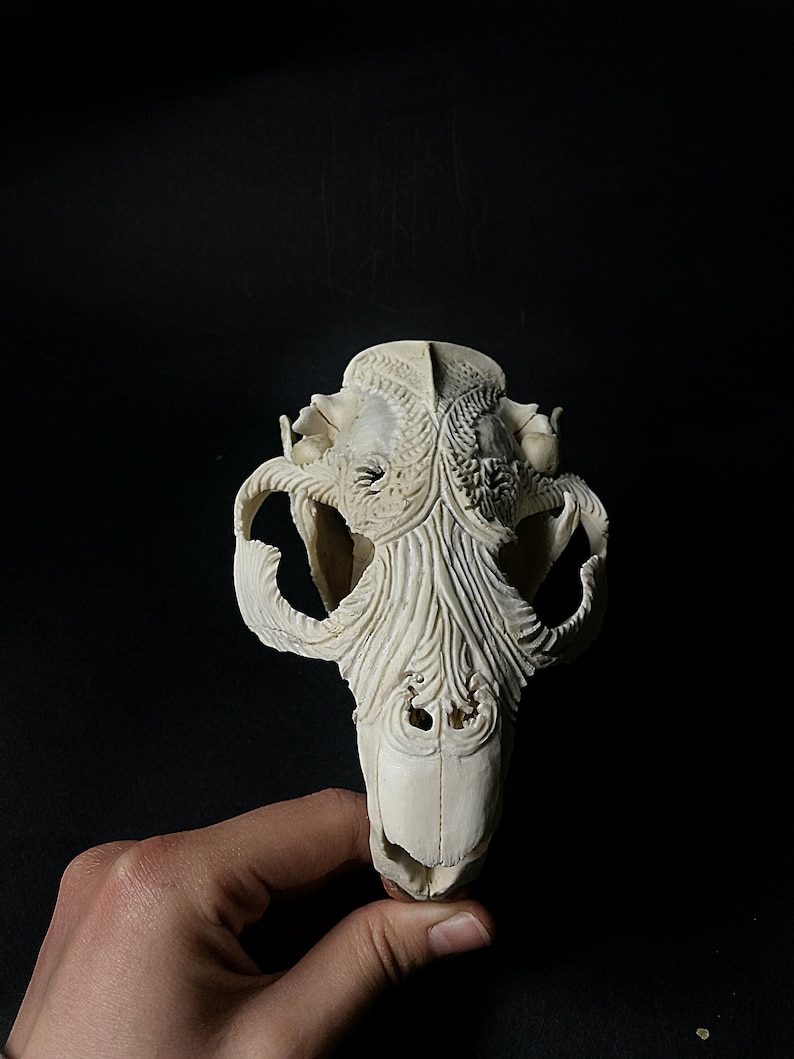 Made to Order Carved Beaver Skull for Girlfriend or Boyfriend, Gift ...