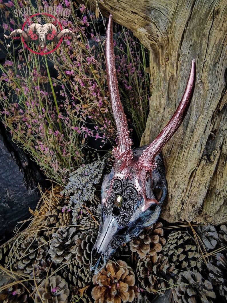 Real Roe Deer Skull Engraved Cute Girlish Flourish Flower - Etsy