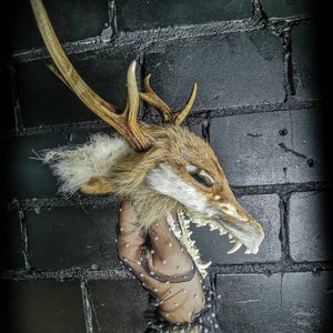 Made to Order Creepy Horned Real Red Fox Skull With Green Eyes Fur Ears ...