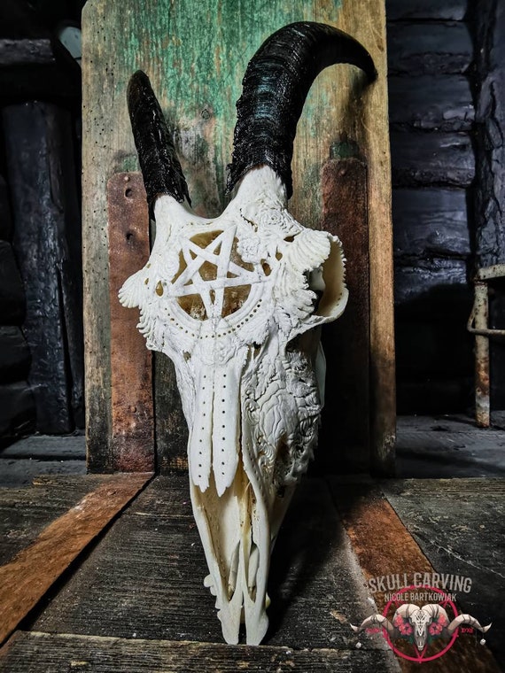 Evil Ram Skull Drawing