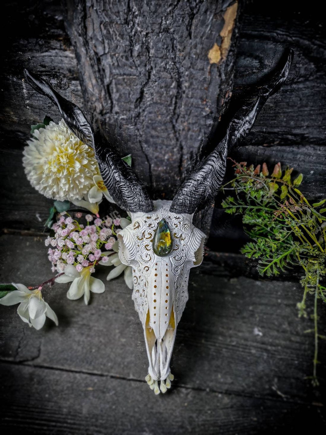 Engraved Racka Sheep Skull With Labradorite - Custom Swirly Horns - Etsy