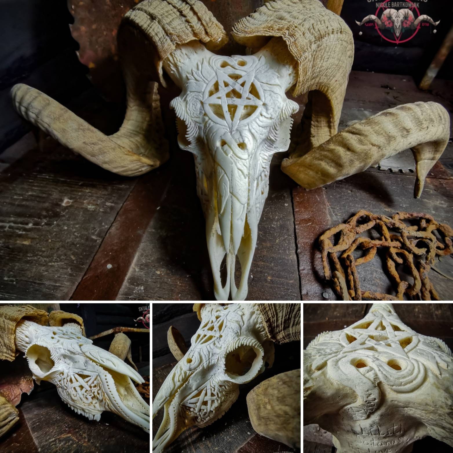 Real Leviathan Skeleton