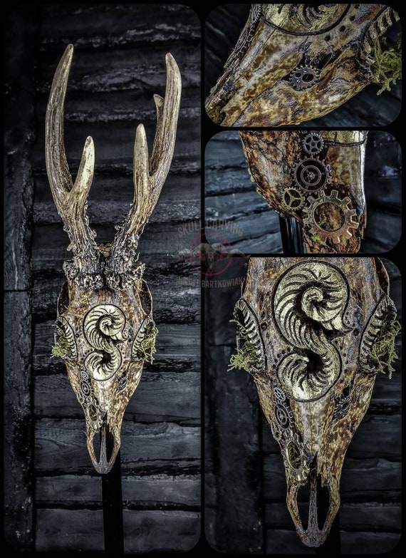 Made to Order Real Roe Deer Skull Engraved Design Patina Old - Etsy
