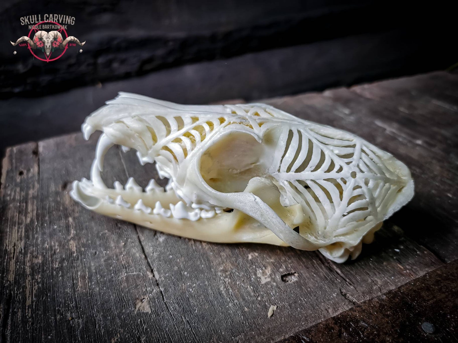 MADE TO ORDER Real Fox Skull With Hand Engraved Design Spiders | Etsy