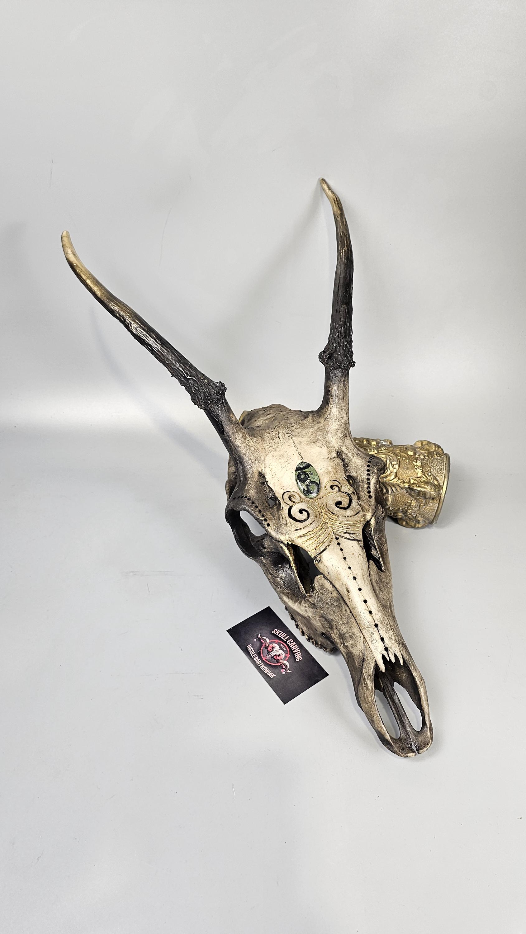 Carved Deer Skull With Short Antlers: European Mount, Stone Inlay - Etsy