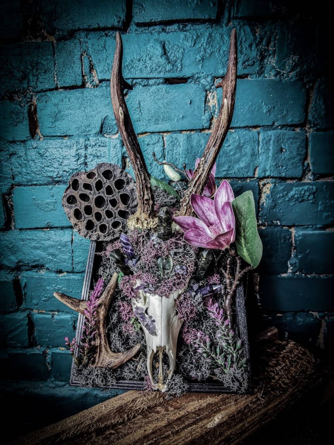 Made to Order Real Roe Deer Skull With Labradorite Amethyst Crystals ...