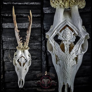 Made to Order Roe Deer Skull Engraved Art Huge Impressive Rose ...