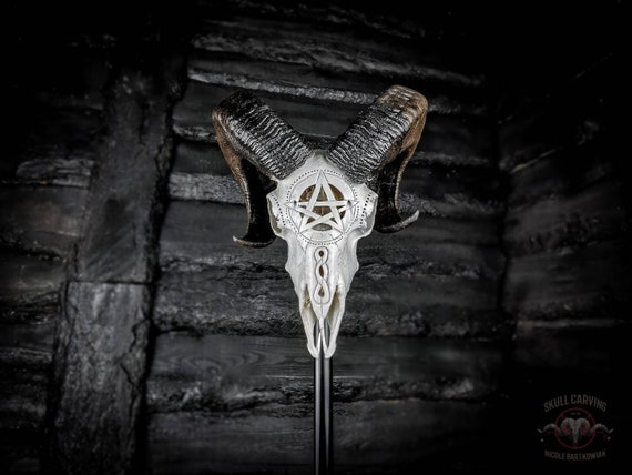 Evil Ram Skull Drawing