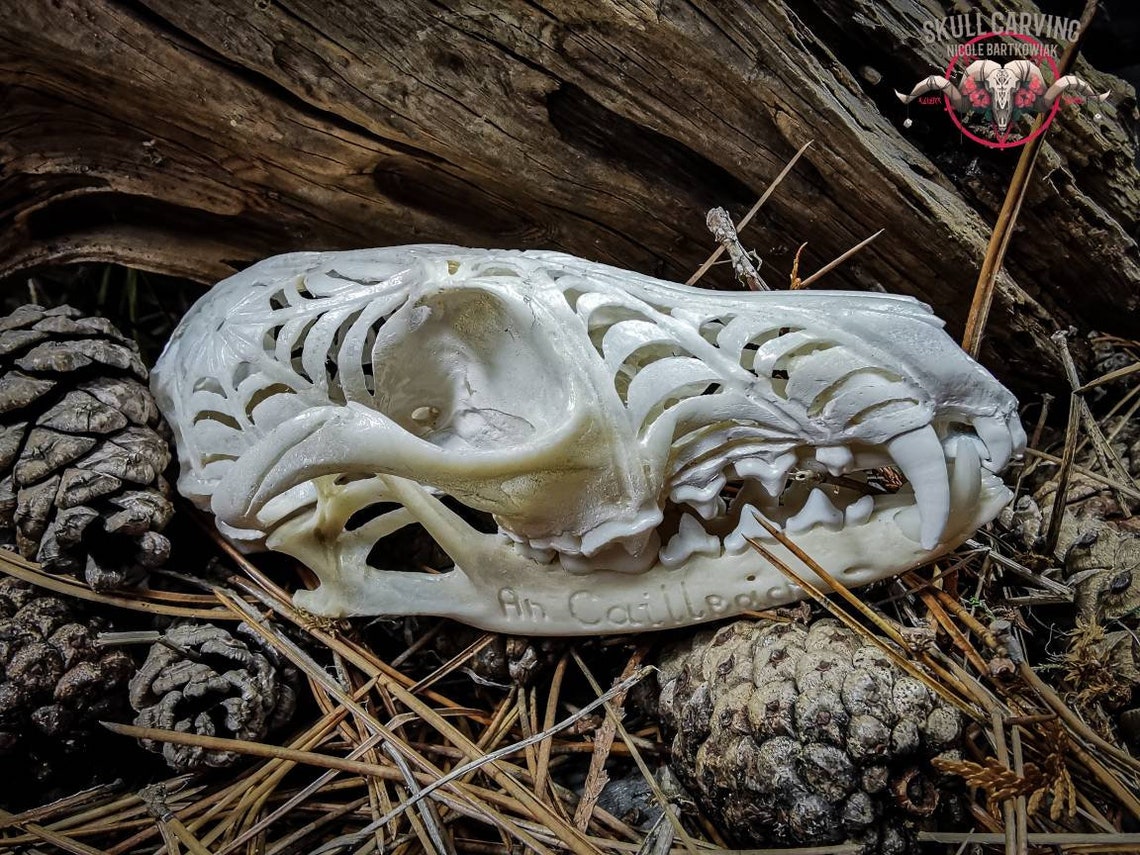 MADE TO ORDER Real Fox Skull With Hand Engraved Design Spiders | Etsy