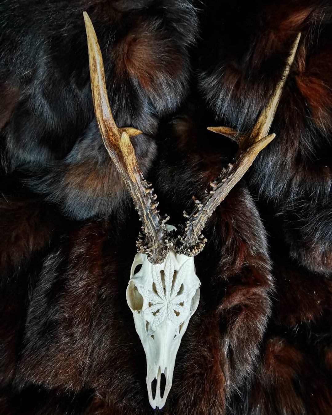 Carved Roe Deer Skull, Taxidermy Bone Art, Marijuana Leaf Decor - Etsy