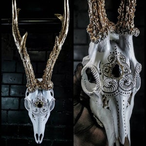 Made to Order Real Roe Deer Skull Ornaments Carving Filigree Buck ...