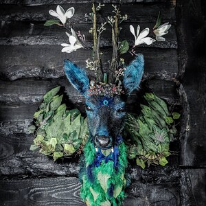Made to Order Custom "eden" Beautiful Turquoise Roe Deer Taxidermy ...