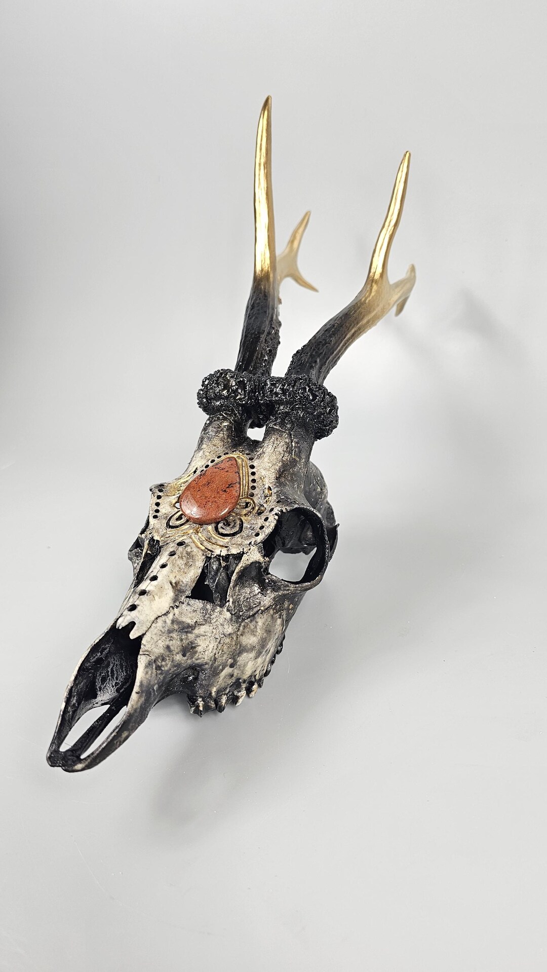 Real Roe Deer Skull Art With Engraved Design and Teardrop Cabochon ...