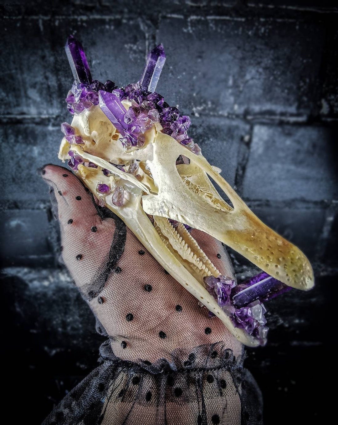 Goose Skull With Amethyst Crystals: Custom Stone Decor - Etsy