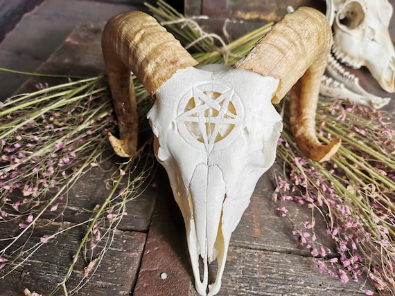 Evil Goat Skull