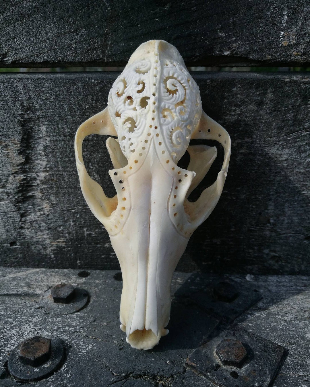 Real Fox Skull Engraved Design Filigree Ornaments Labradorite Amethyst ...