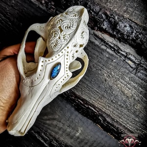 Real Fox Skull Engraved Design Filigree Ornaments Labradorite Amethyst ...