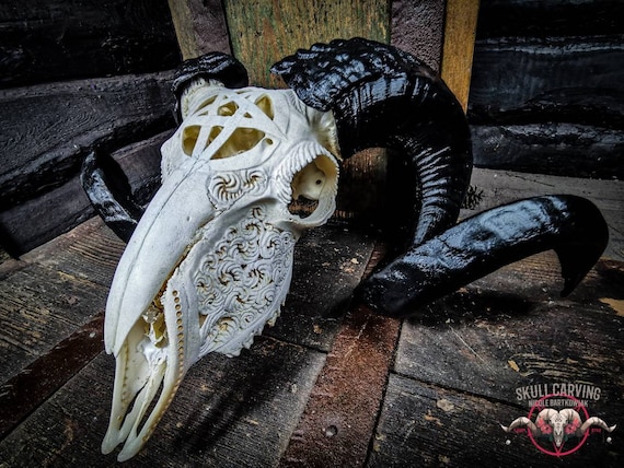 Evil Ram Skull Special High Grade Metallized (dark Gold) Skull Of A