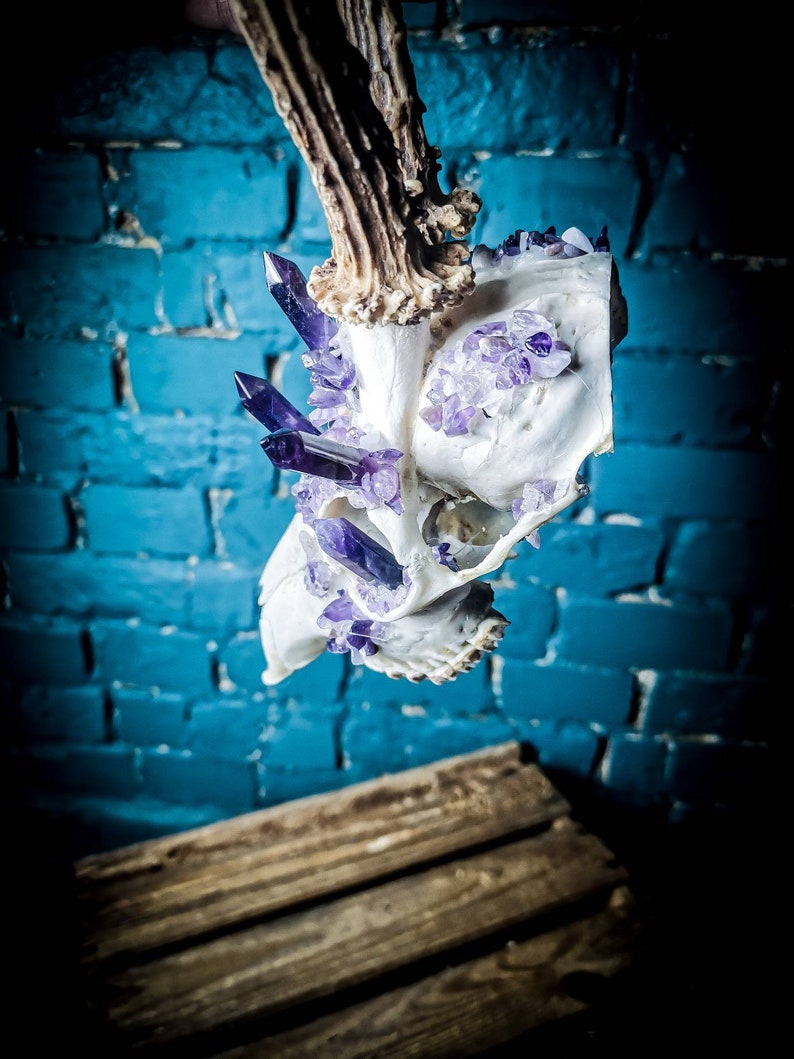 Amethyst Crystal Roe Deer Skull: Wicca Witch Altar Decor - Etsy