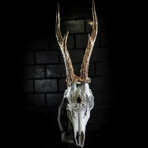 Made to Order Real Roe Deer Skull Ornaments Carving Filigree Buck ...
