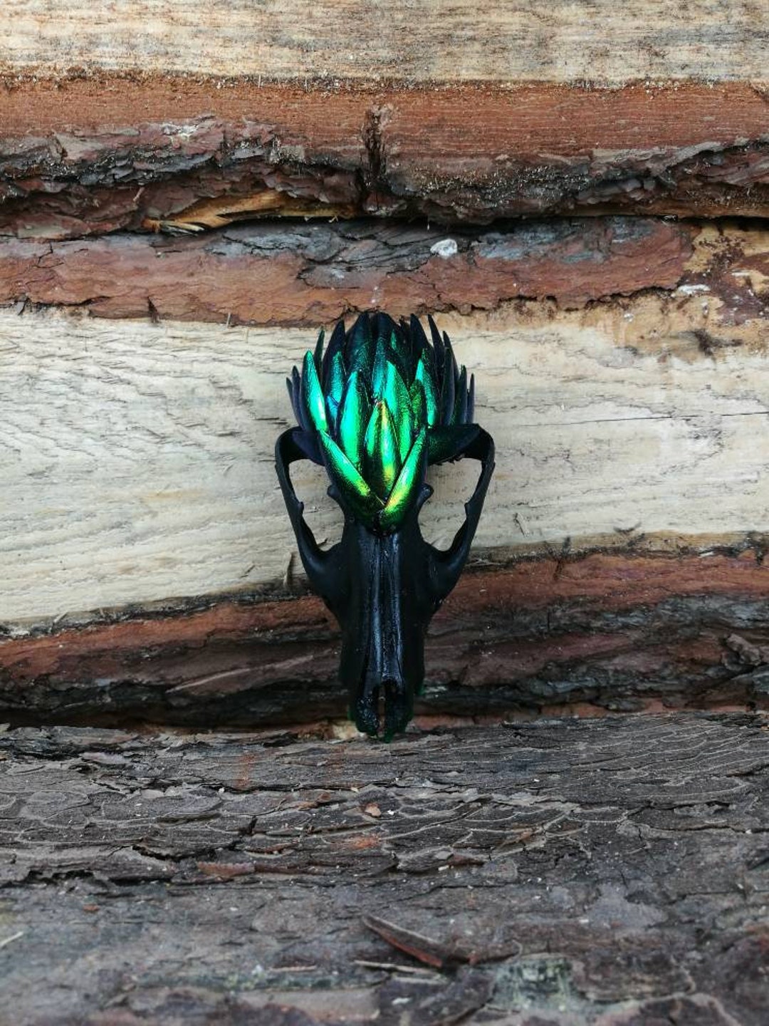 Dragon Skull Egg Real Fox Skull Elytra Wings Black Neon Green Teeth ...