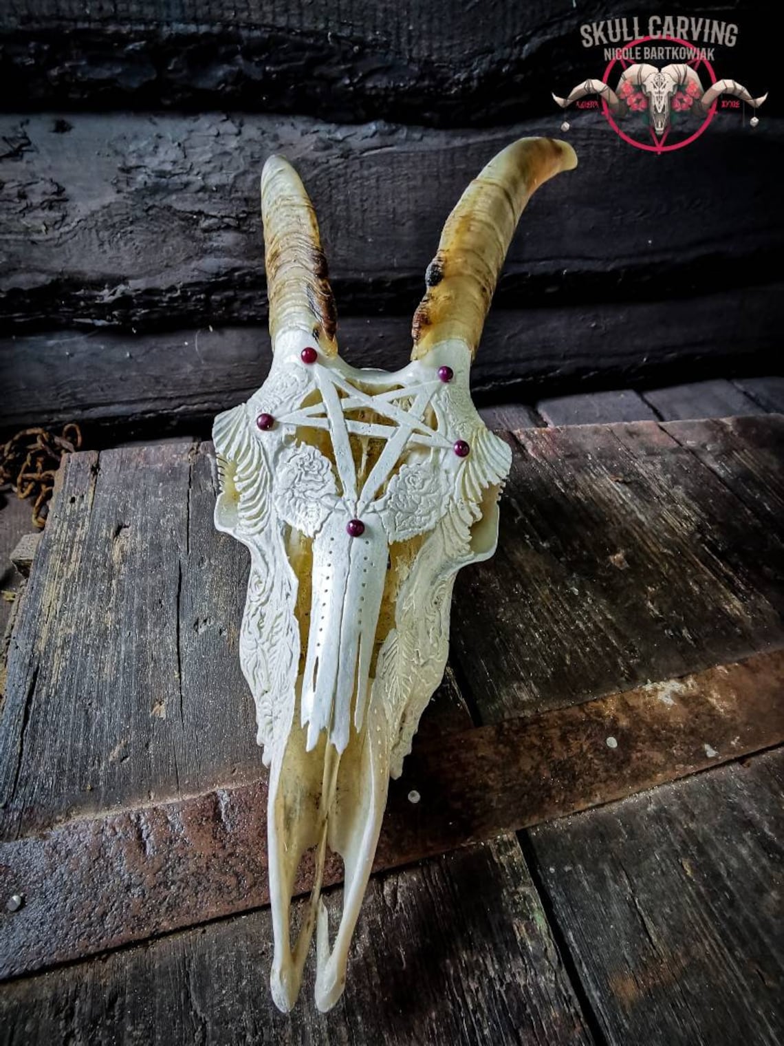 Real Goat Skull With Engraved Pentagram Pentacle With - Etsy