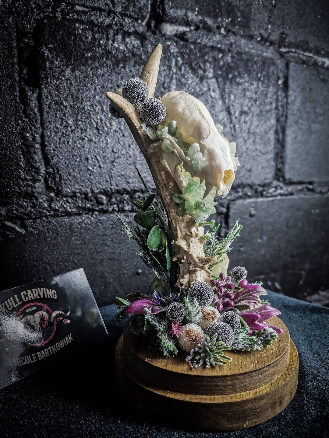 Made to Order Real Roe Deer Antler With American Mink Skull Aged ...