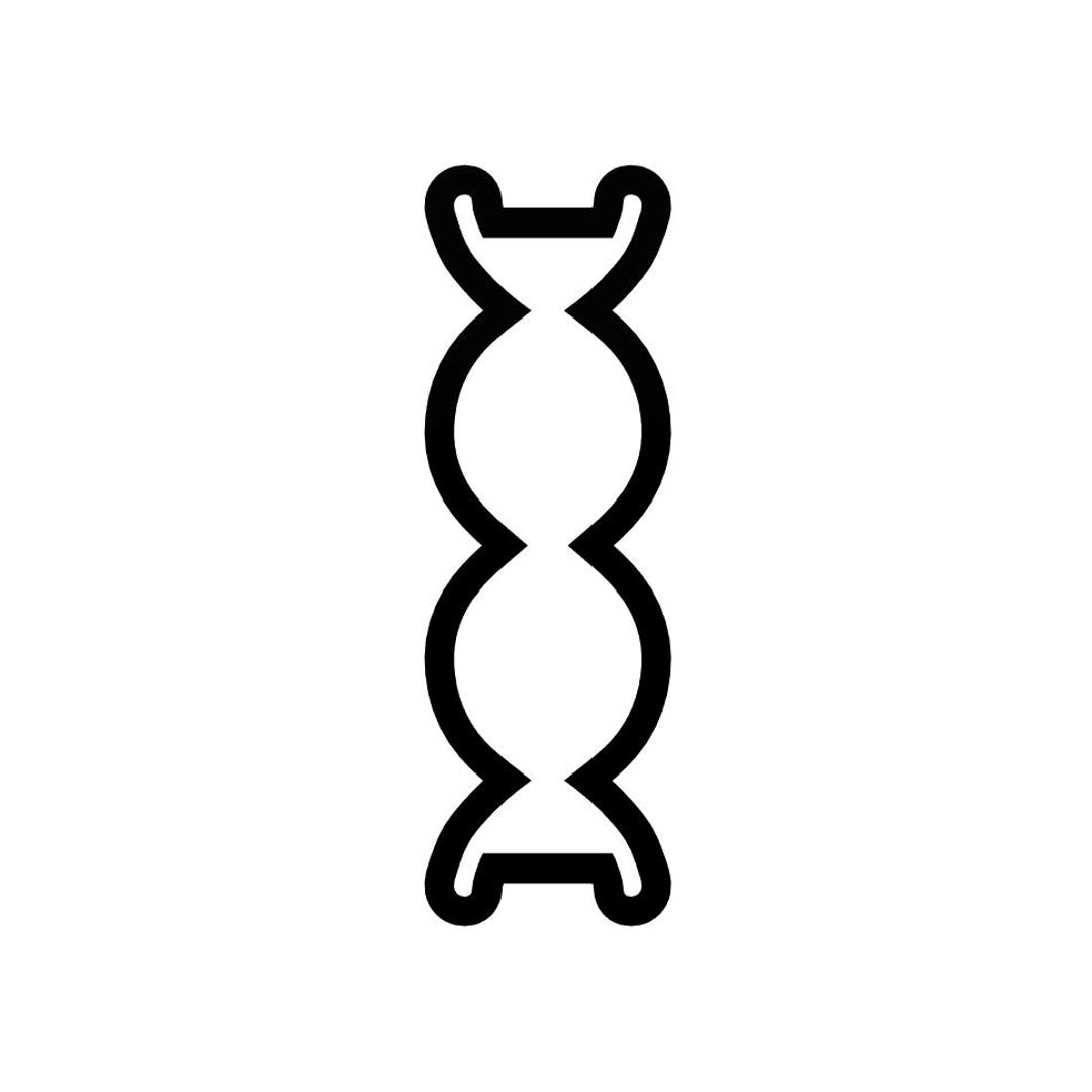 DNA Cookie Cutter - Double Helix Cupcake Topper - Biology Class Fondant ...