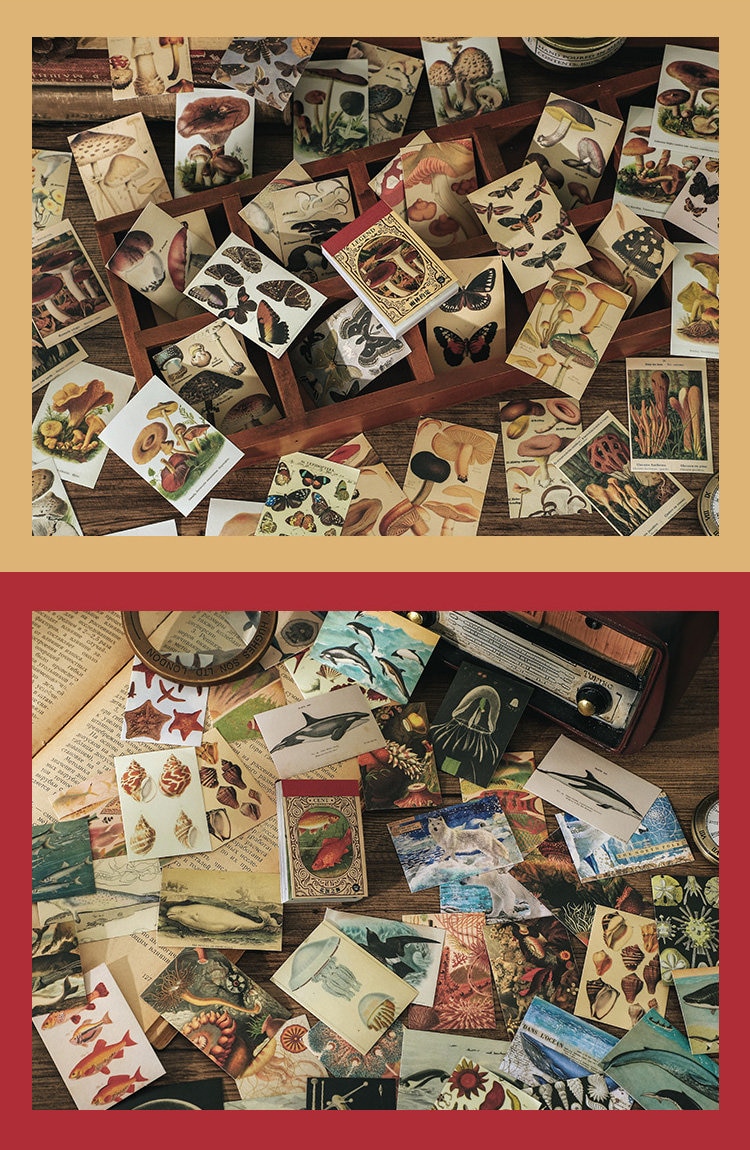 Vintage Aesthetic Sticker Book 50 Pcs Junk Journal Ephemera - Etsy